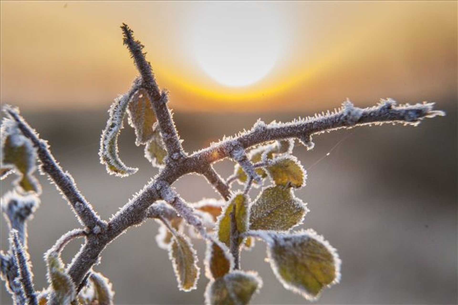 Még egy kis fagy is beleférhet ma