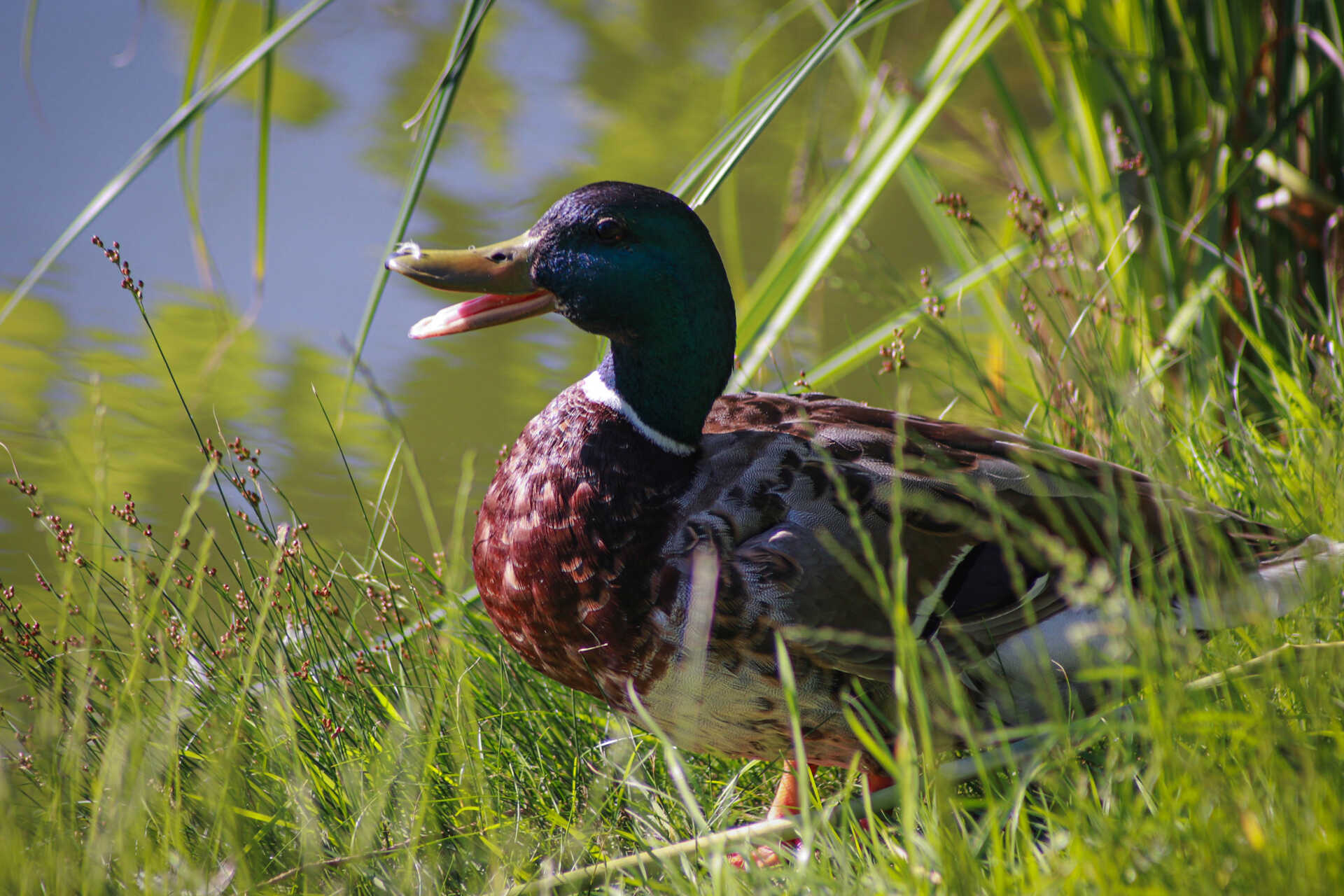 Hétfőn húsz fok jöhet?
