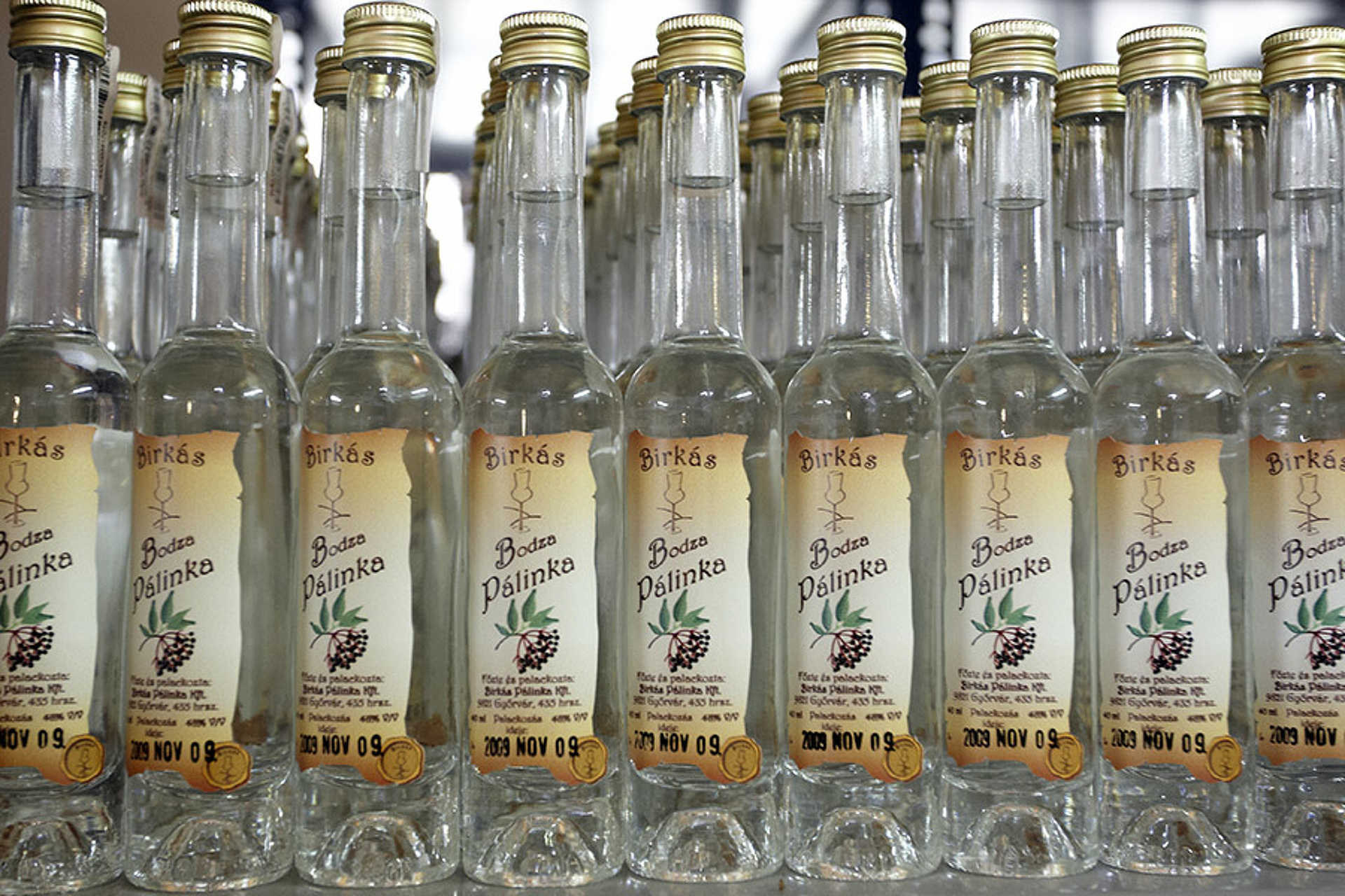 Erős magyar pálinkát a világnak! - Megnéztük, hogyan készül a hegyháti ...