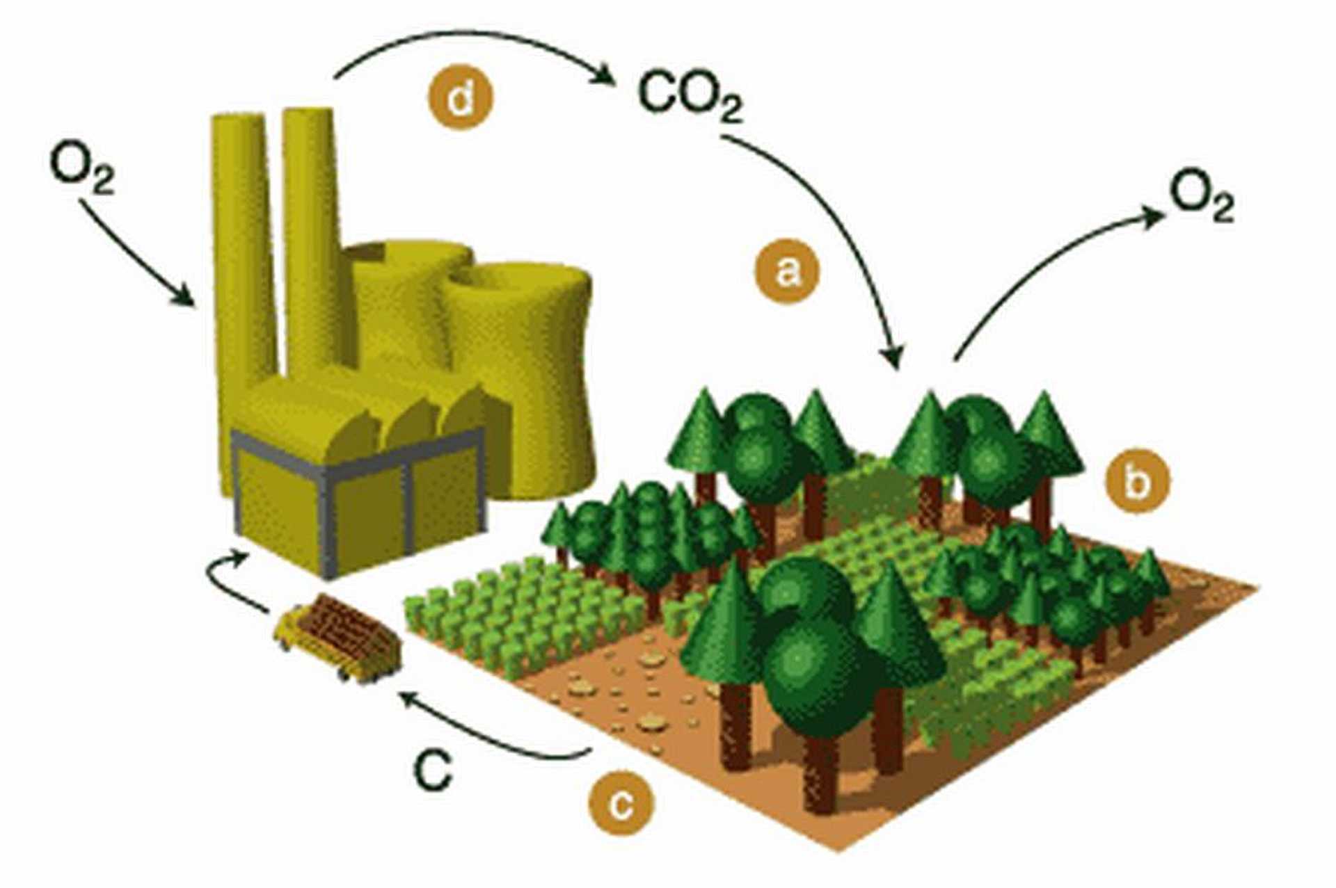 Lázár János tönkreteszi a biomassza erőműveket…