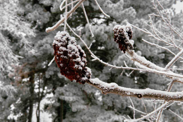 Magyar Péter energetikai terve: a rezsicsökkentés kinyírása - mondja ...