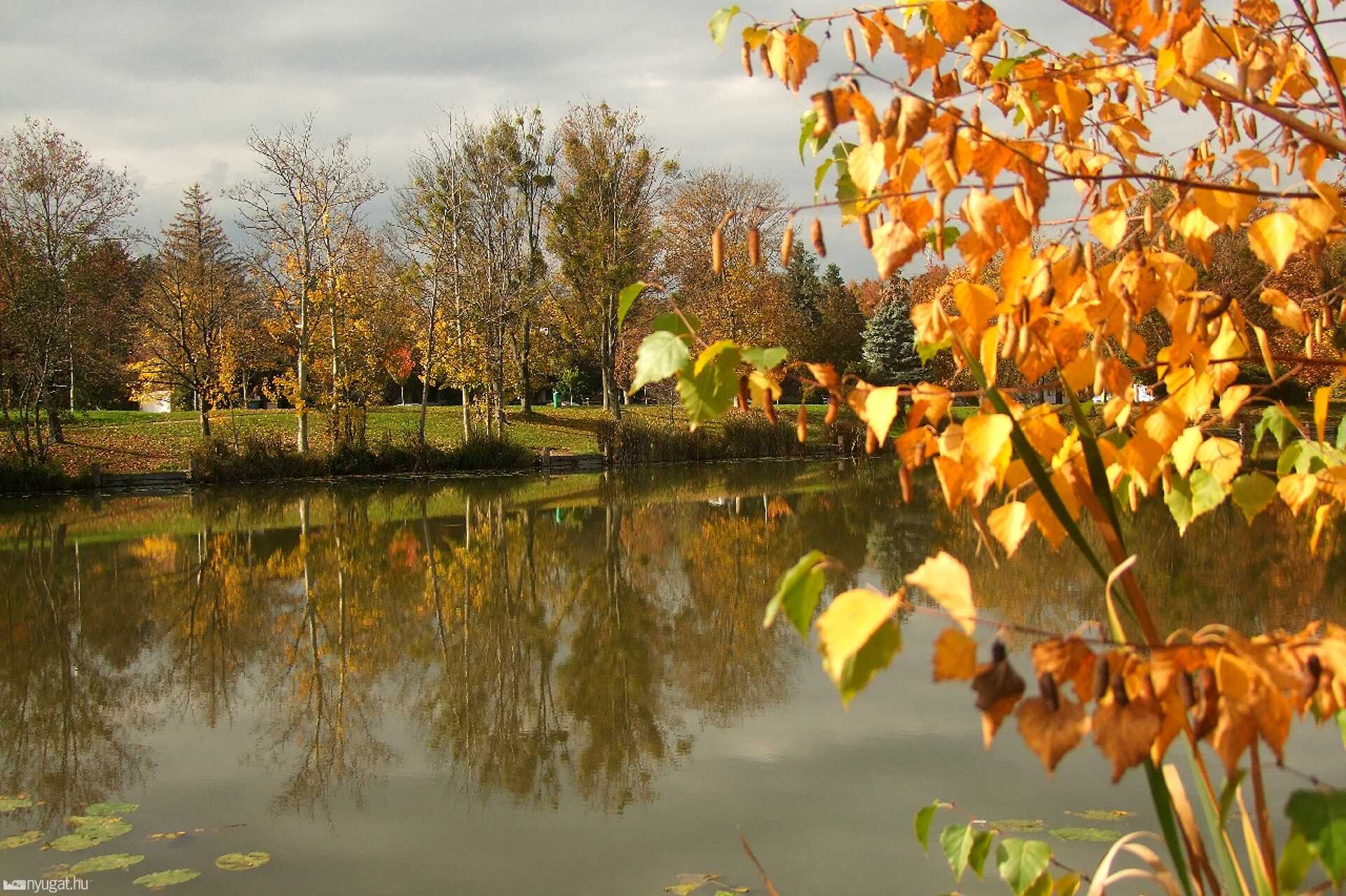 Az ősz 17 pillanata 2022-ből