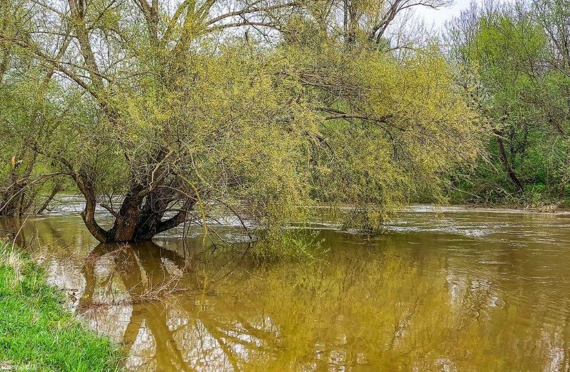 Csodálatos, és egy kicsit félelmetes a Körmendnél áradó Rába