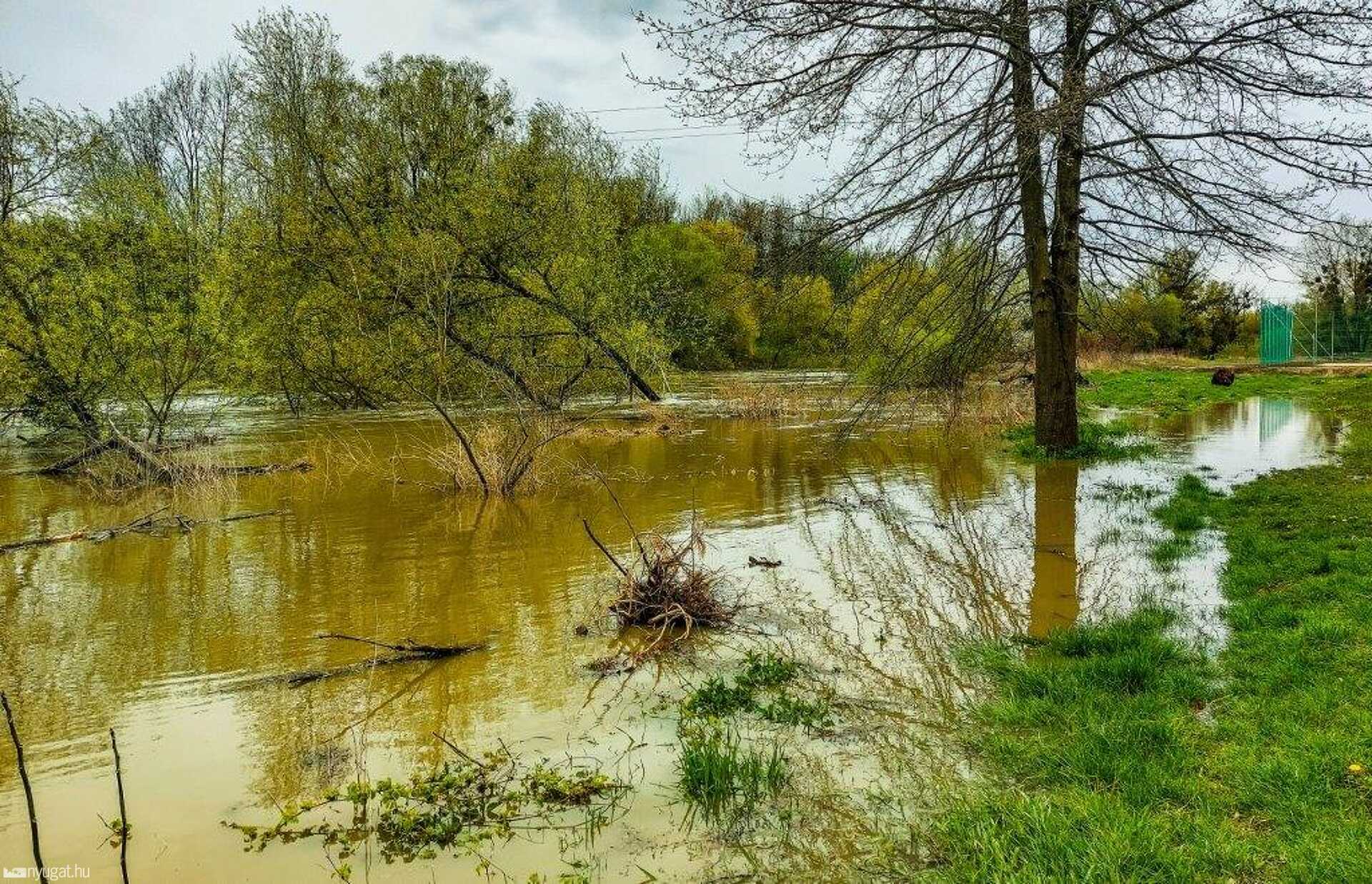 Csodálatos, és egy kicsit félelmetes a Körmendnél áradó Rába