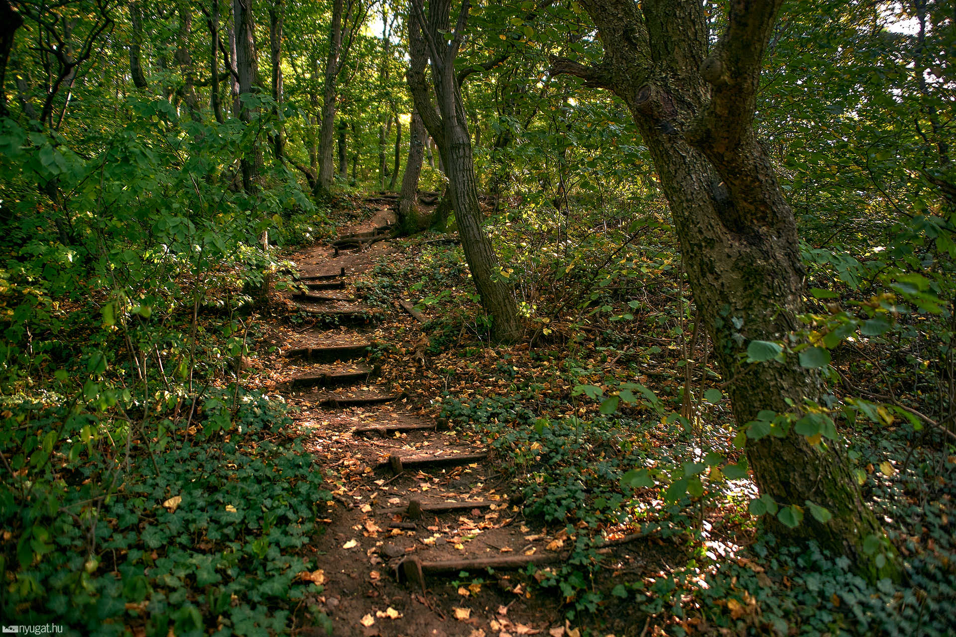 Így néz ki most a Somlói vár, melyet egykor nagy hadvezérek birtokoltak