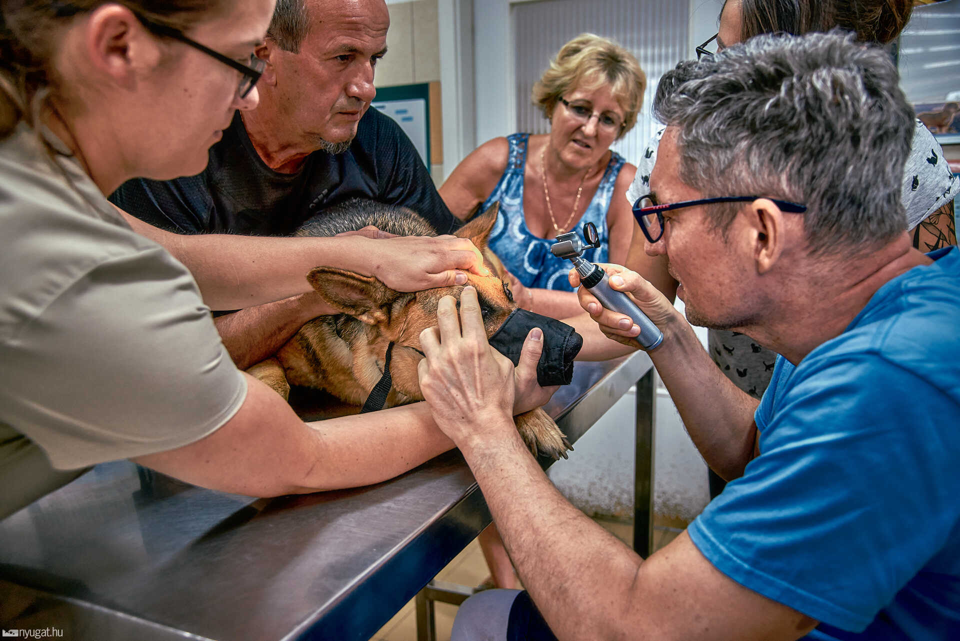 Még a legkomplikáltabb esetekre is találnak megoldást a Szombathelyi ...