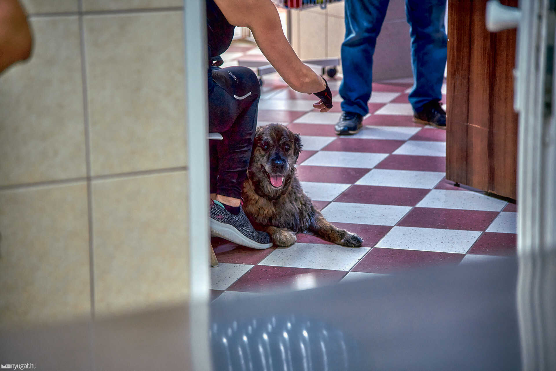 dr. Varjú Gábor: „Én egyáltalán nem vagyok elkeseredve, ez csak egy ...