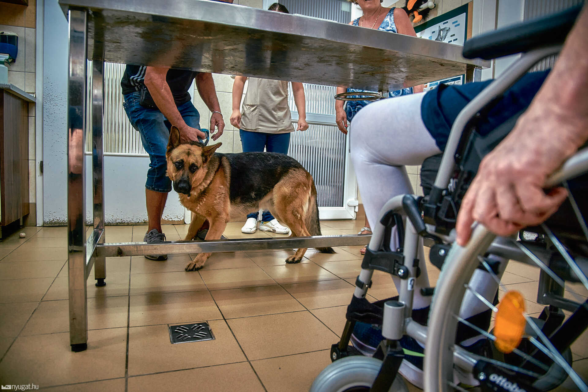 dr. Varjú Gábor: „Én egyáltalán nem vagyok elkeseredve, ez csak egy ...