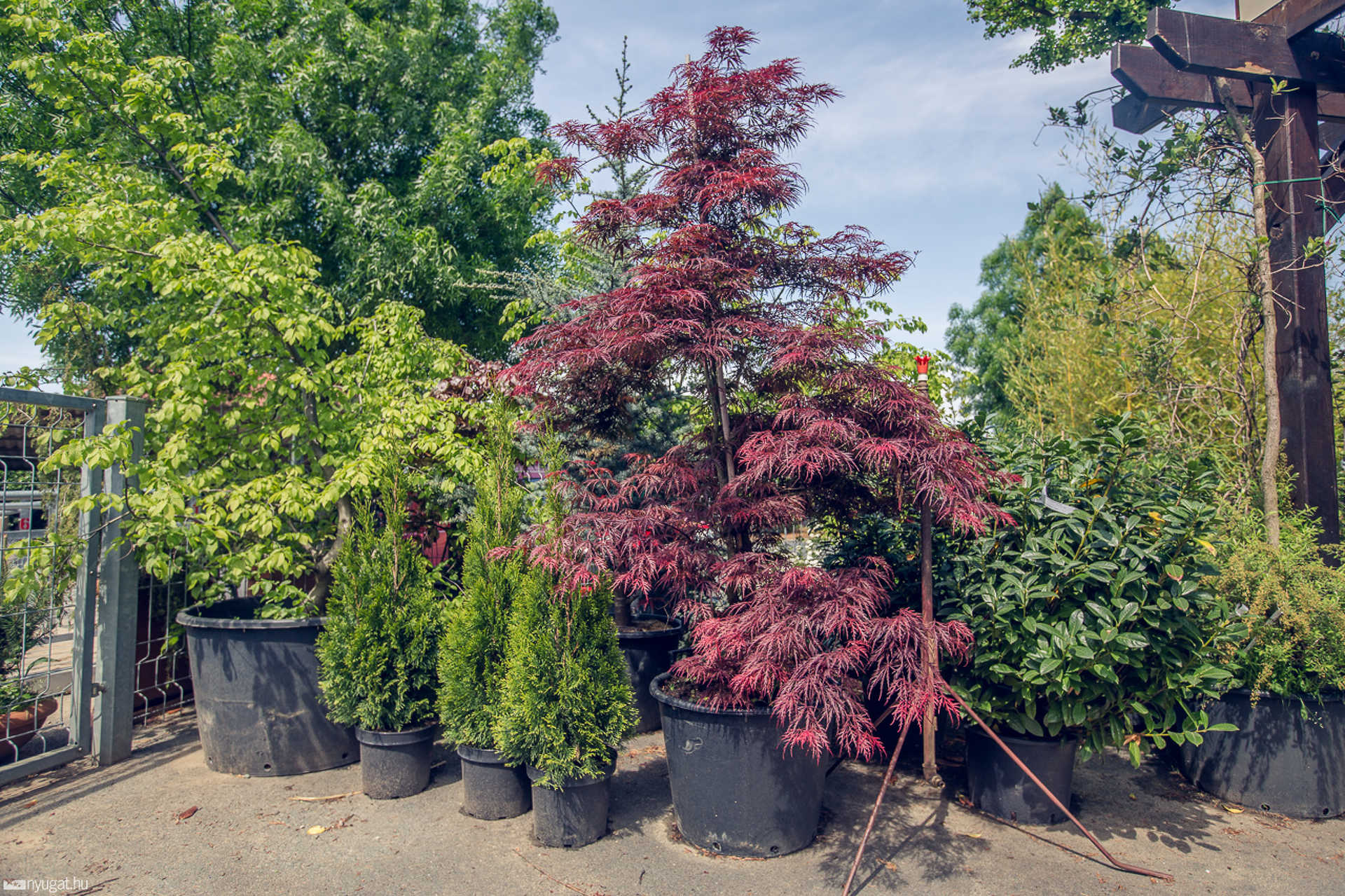 Feltöltődés és élmény a PRENOR Kertészeti Árudában