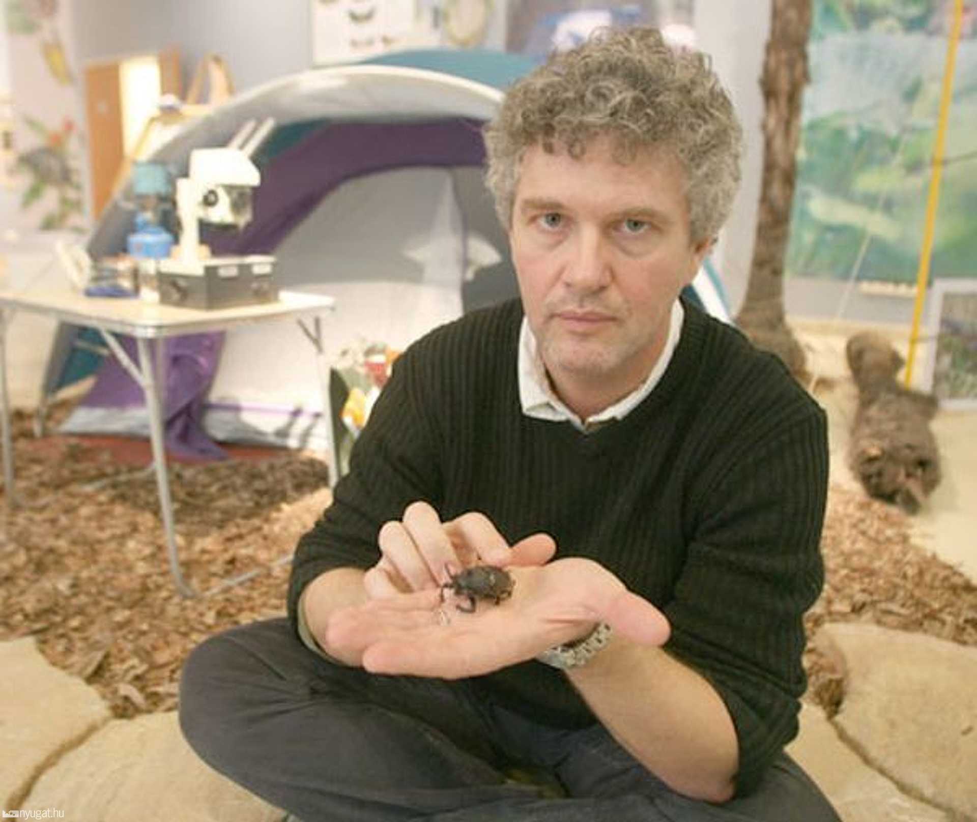 Nászban a denevérek