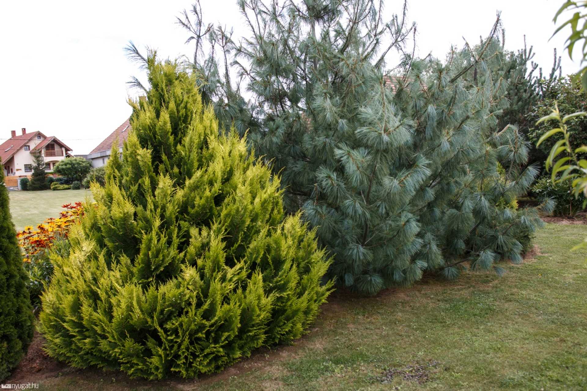 A fagyok után így aktivizáljuk magunk a kertben!